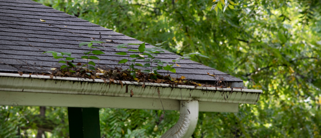 Common Gutter Problems Homeowners Should Know | LeafFilter Common Gutter Problems Homeowners Should Know | LeafFilter